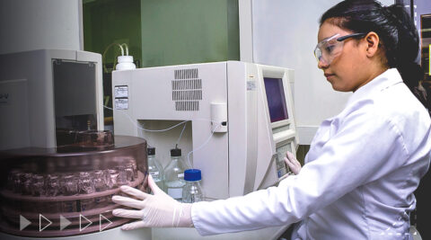 Nuestro Mundo | Vijosa